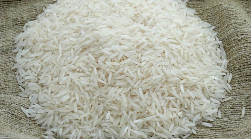 L'augmentation de la production du riz au Gabon : une priorité du ...